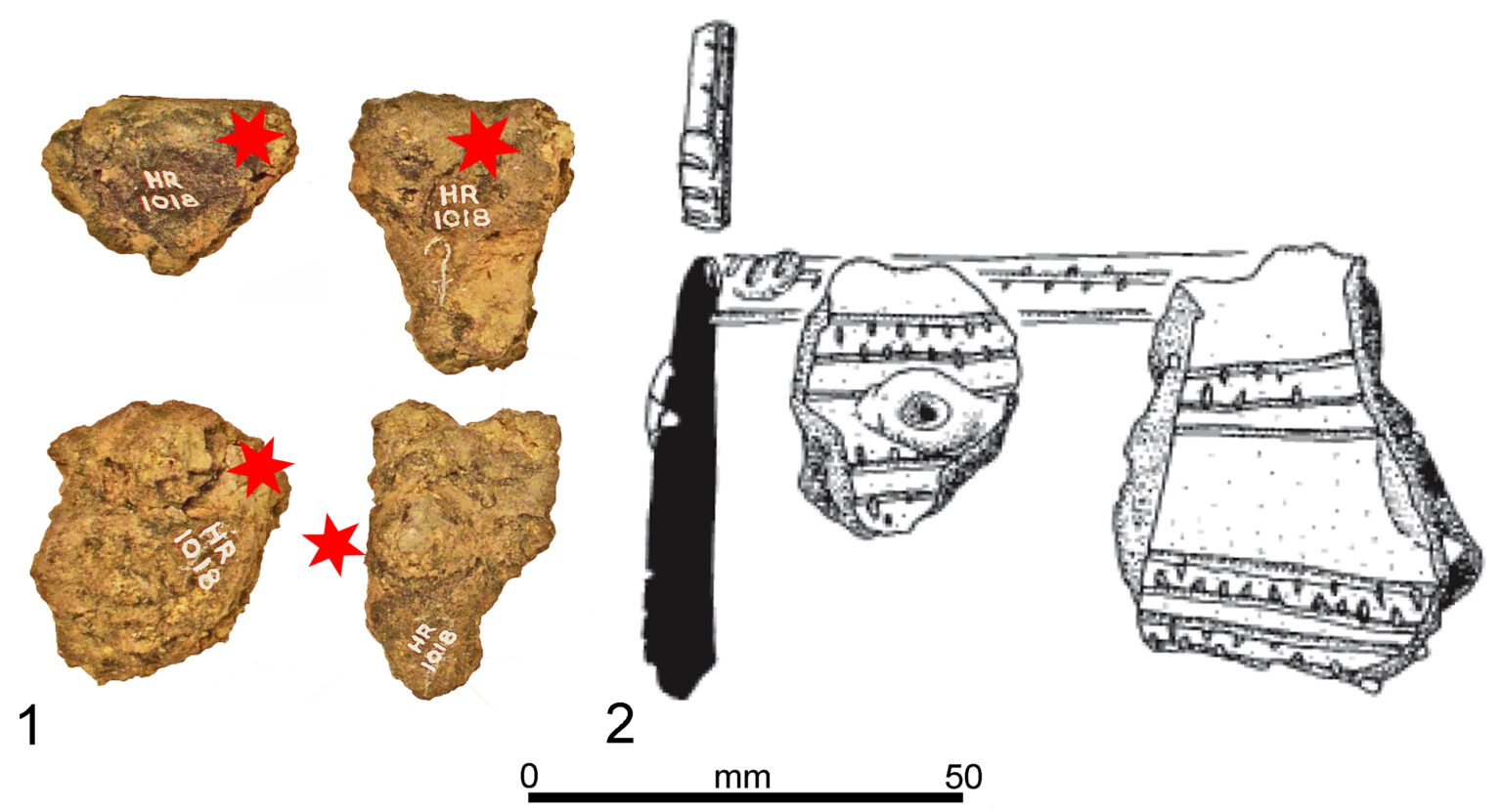5.4.3.1.3 Late Neolithic: Grooved Ware | The Scottish Archaeological ...