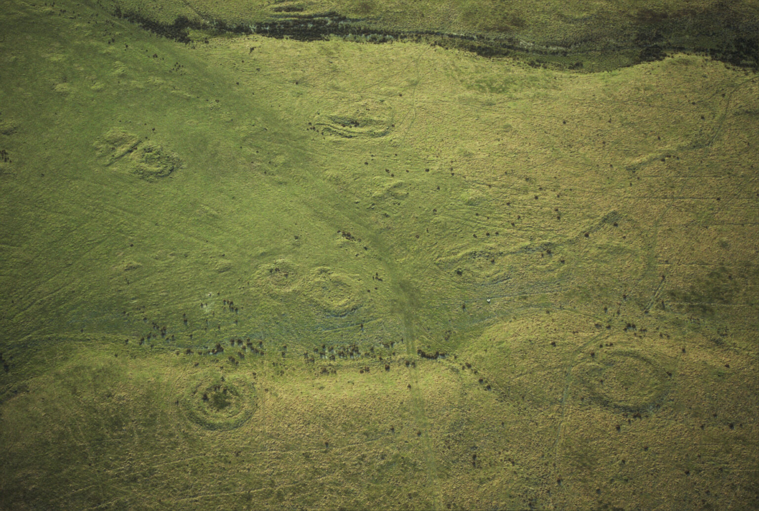 5.4.1.1 Domestic Roundhouses and Hut Circles | The Scottish ...
